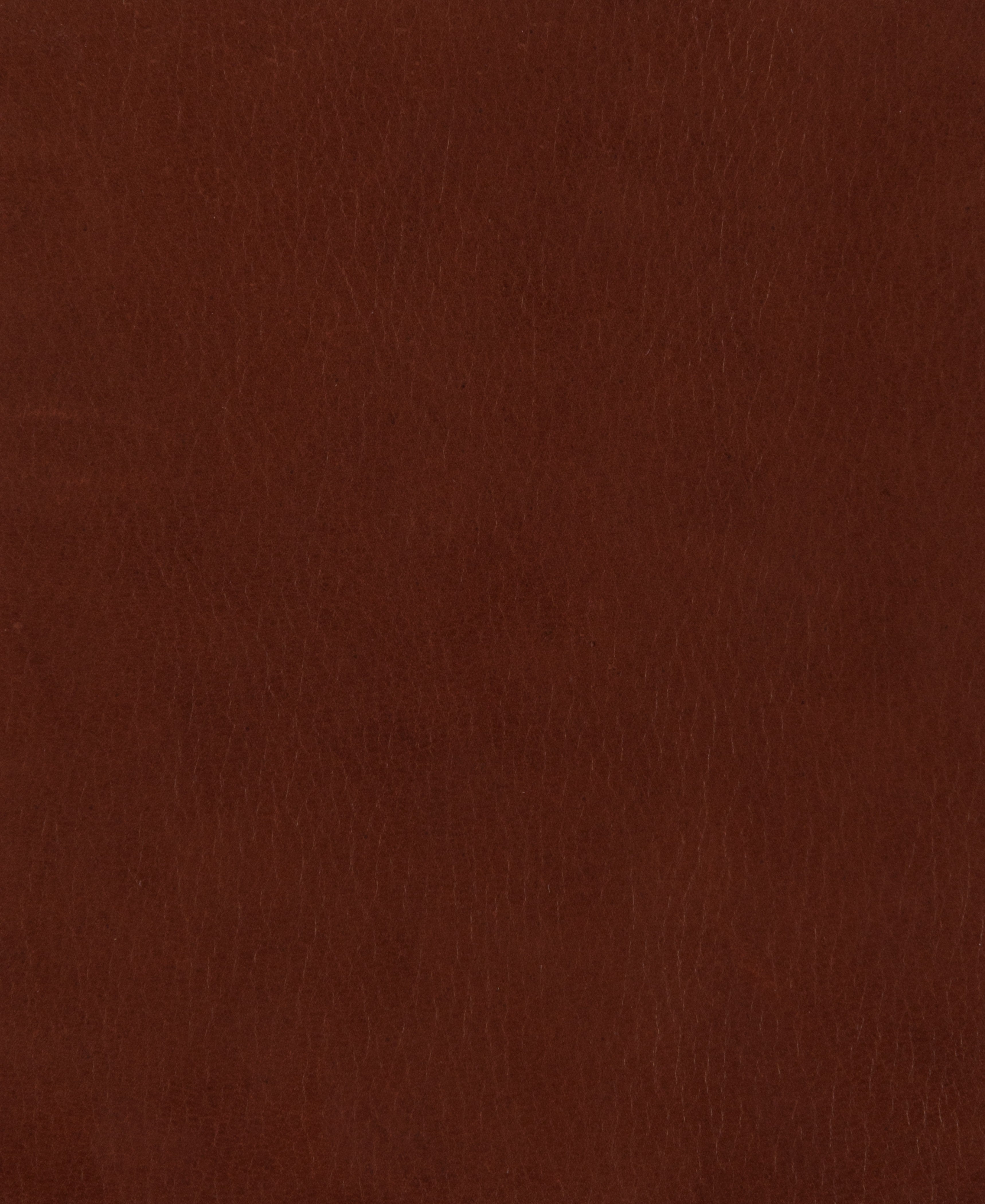 Dormia - Redwood